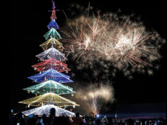 'Tallest Christmas tree' in Philippines lights up Tagum City, Davao del ...