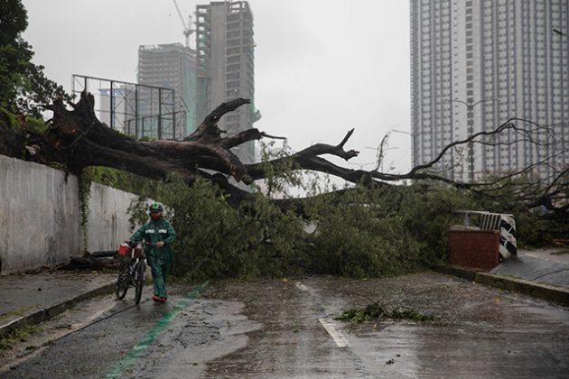 Rundown: Tropical storms, depression with high death tolls in ...