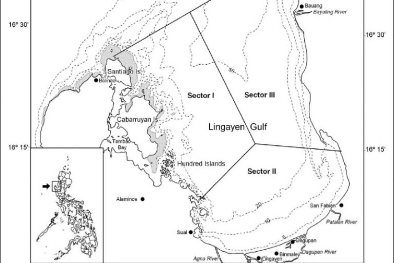Why UPMSI is opposing offshore mining project in Lingayen Gulf