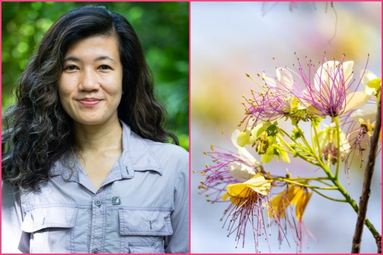 Meet the Pinay who teaches Philippine biodiversity one video at a time