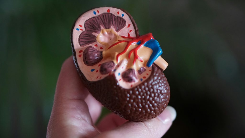 'Kidney Patrol': This CKD online test helps Pinoys find if they're at ...