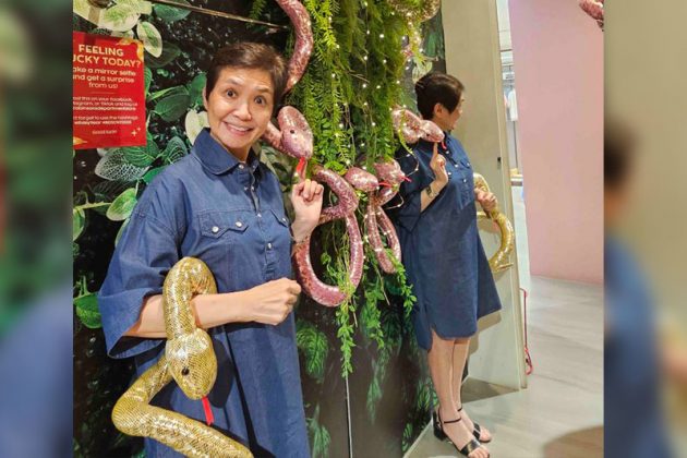 'Myth lives on': Robina Gokongwei-Pe snake twin post delights social media