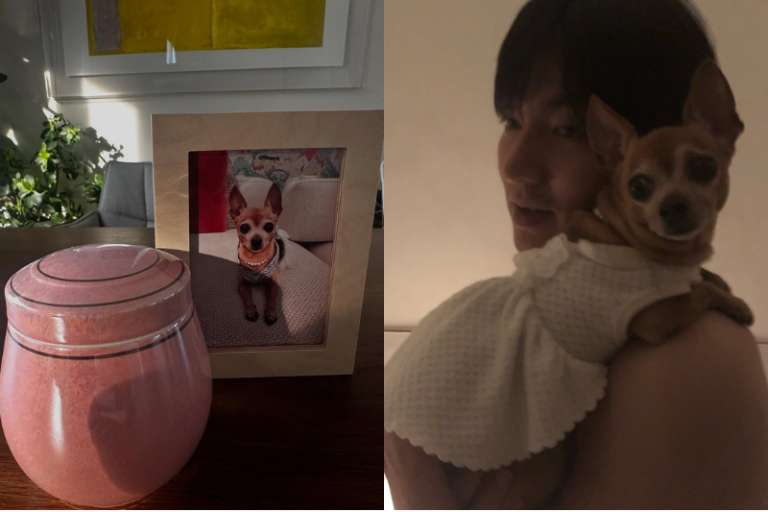 Fans send love as Lee Min Ho mourns his ‘little princess,’ dog Choco
