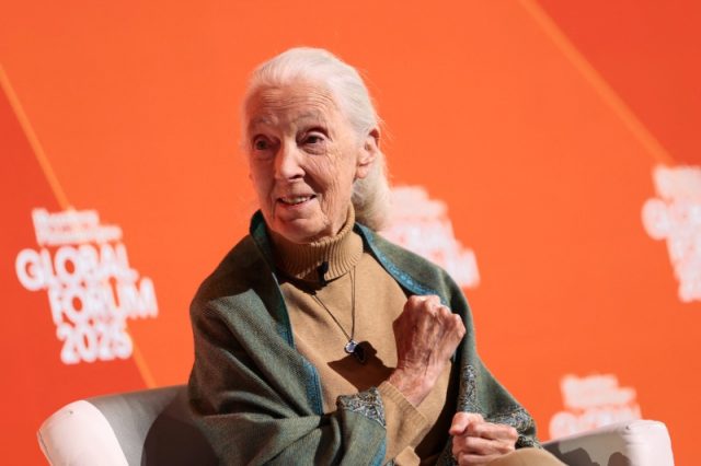Wildlife advocate and primate expert Jane Goodall dies at 91