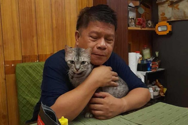 Pinoy shares how pet cat was able to save them from rising flood in Cebu